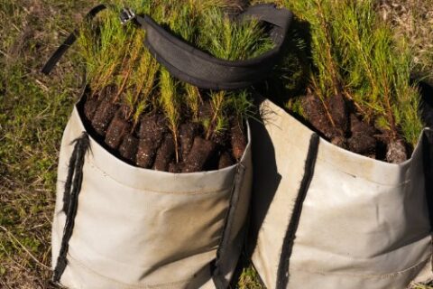 Where We Grow - PRT Growing Services Ltd.